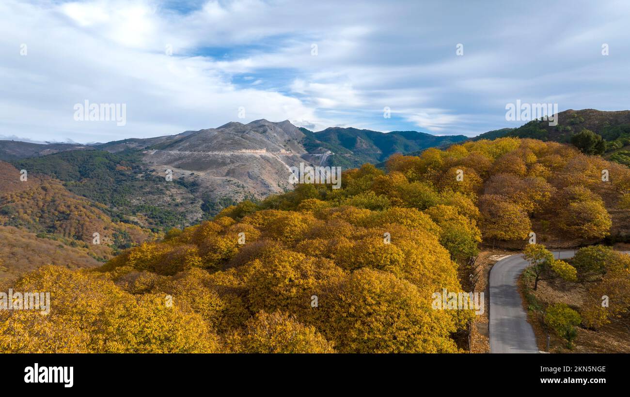 Autumn on the road leading to the copper forest in the Genal valley in ...