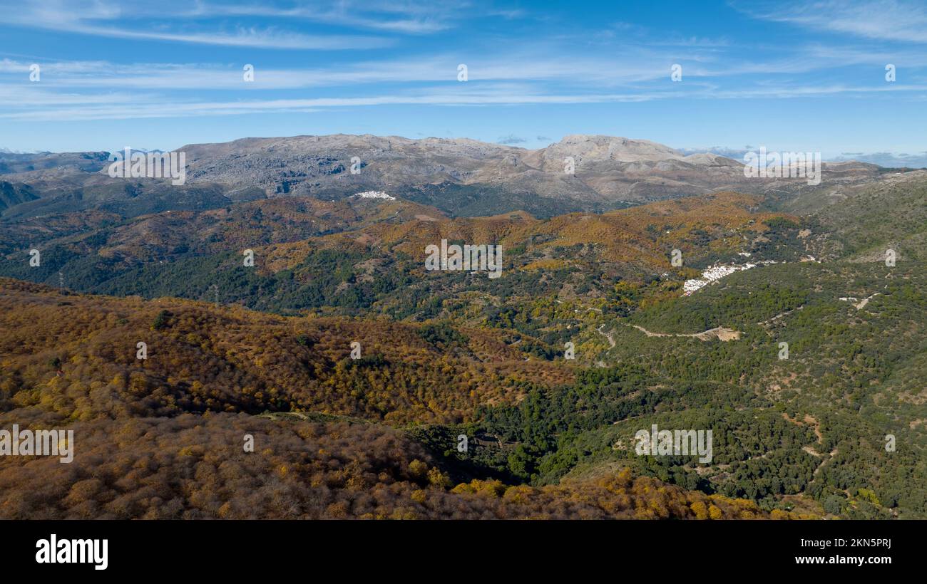 aerial view of the copper forest in the Genal valley, Spain Stock Photo ...