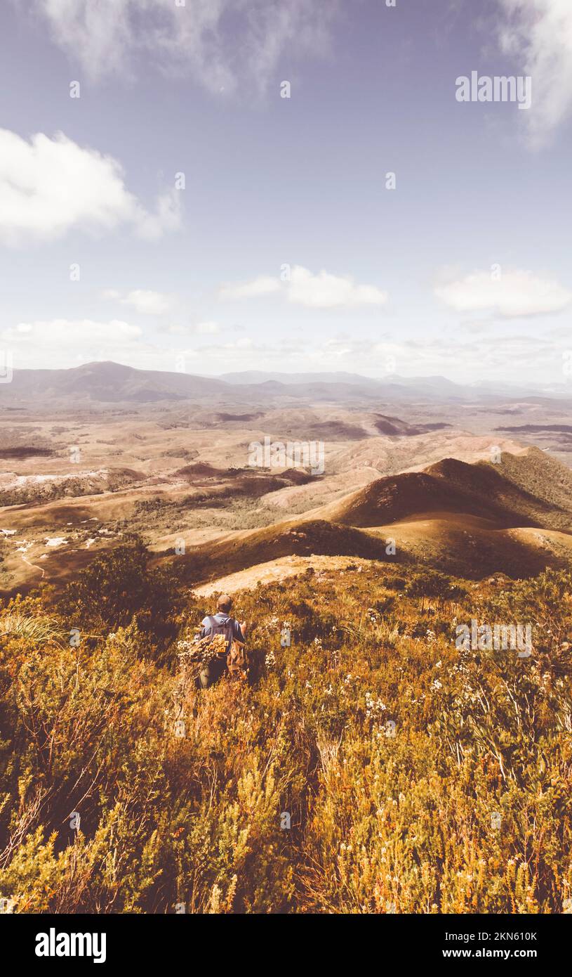 Picturesque scene on a bush walking man obscured by vegetation while ...