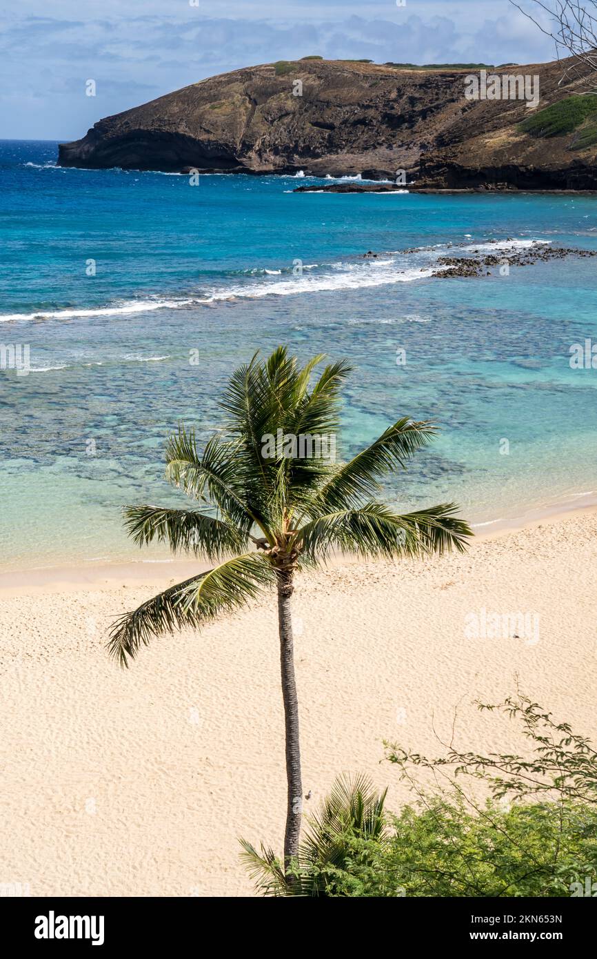 Sunny day at Hanauma Bay on Oahu Hawaii Stock Photo - Alamy
