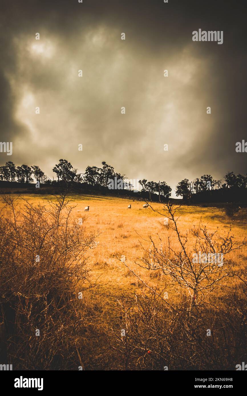 Australian winter landscapes hi-res stock photography and images - Alamy