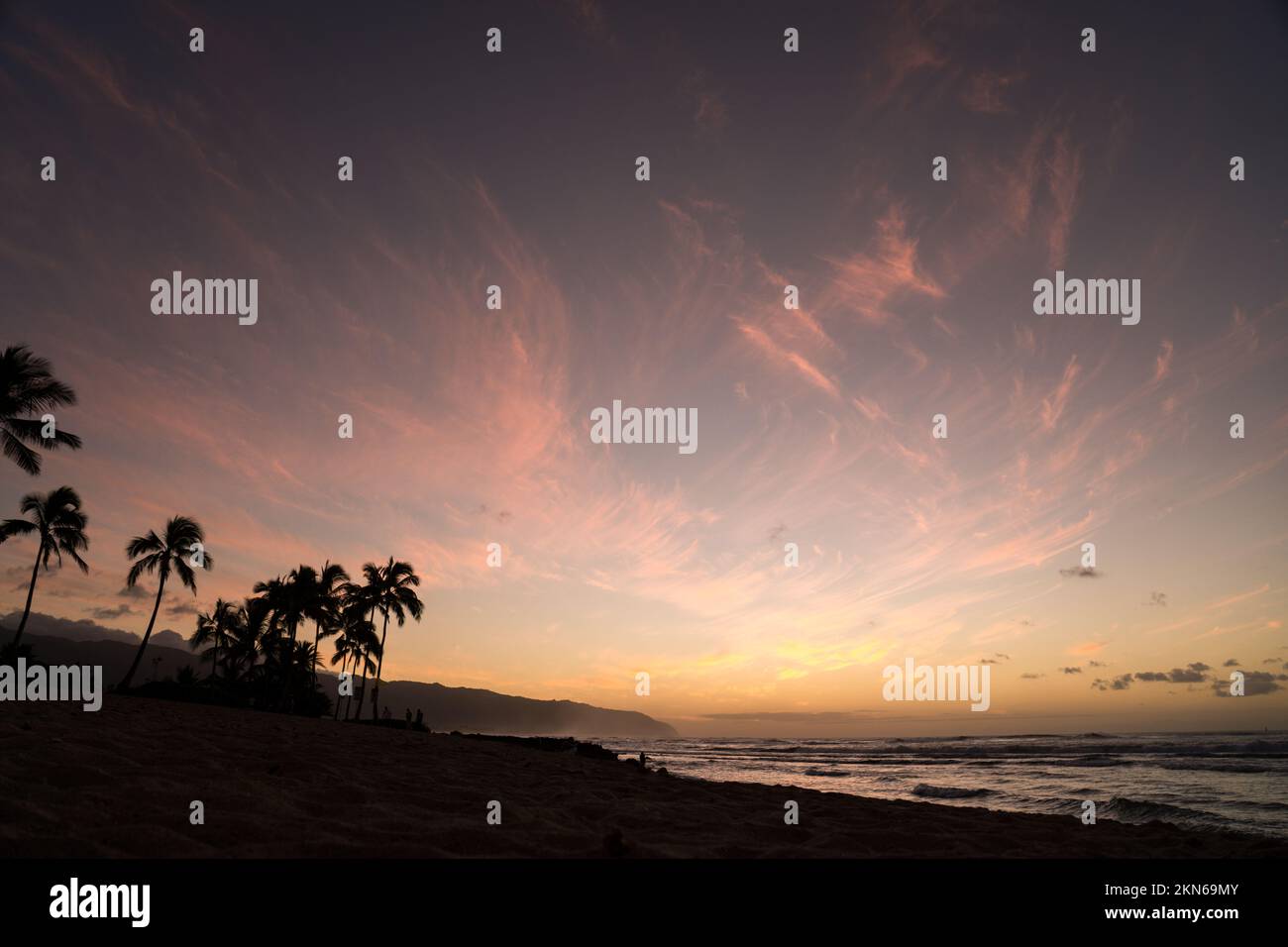 Oahu Hawaii sunset on north shore beach with palm tree silhouettes ...