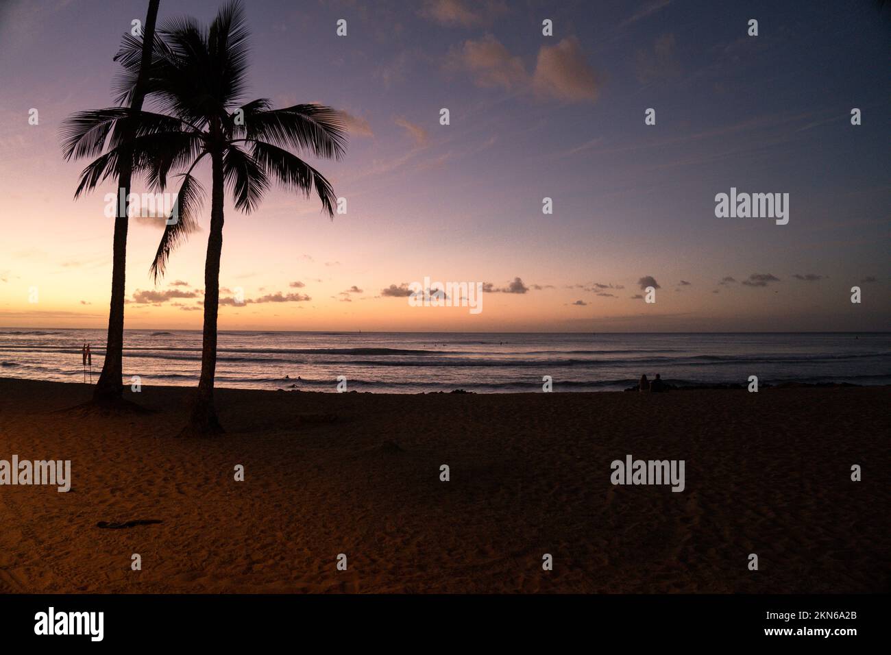 Oahu Hawaii sunset on north shore beach with palm tree silhouettes ...