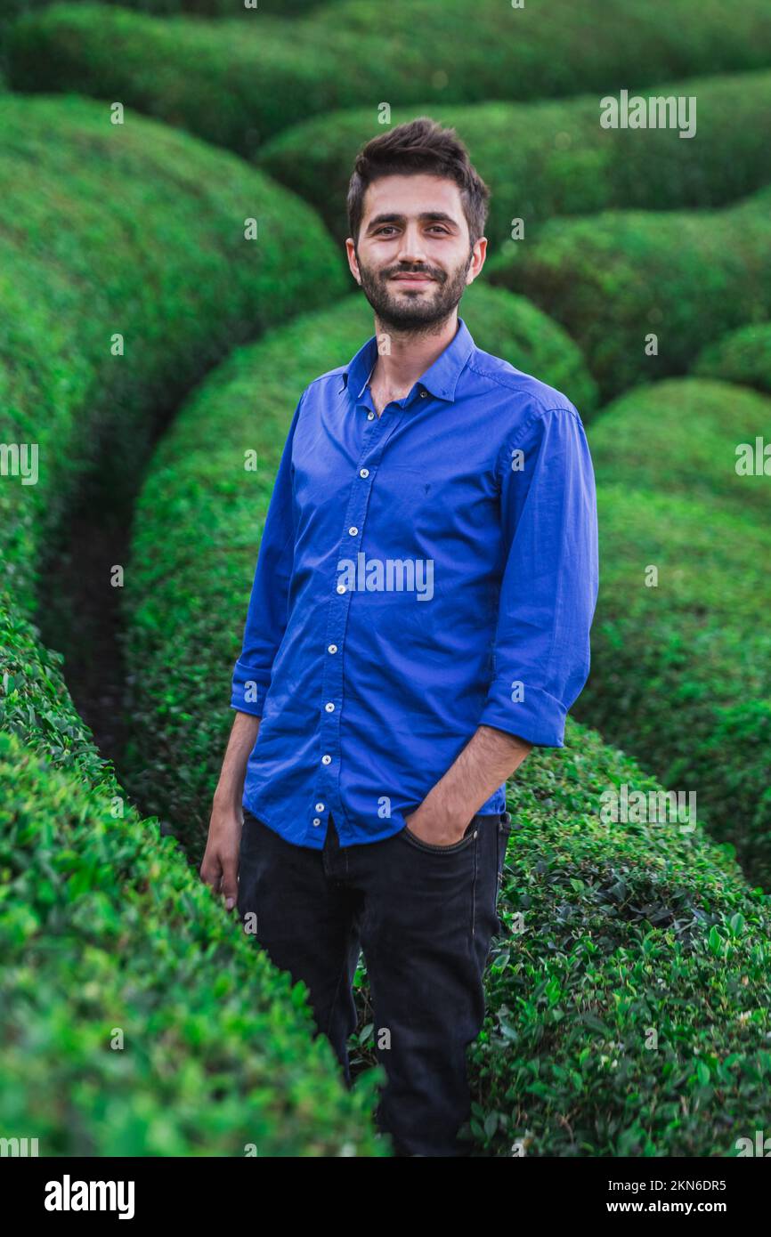 Tea plantations near Rize in Turkey editorial Stock Photo - Alamy
