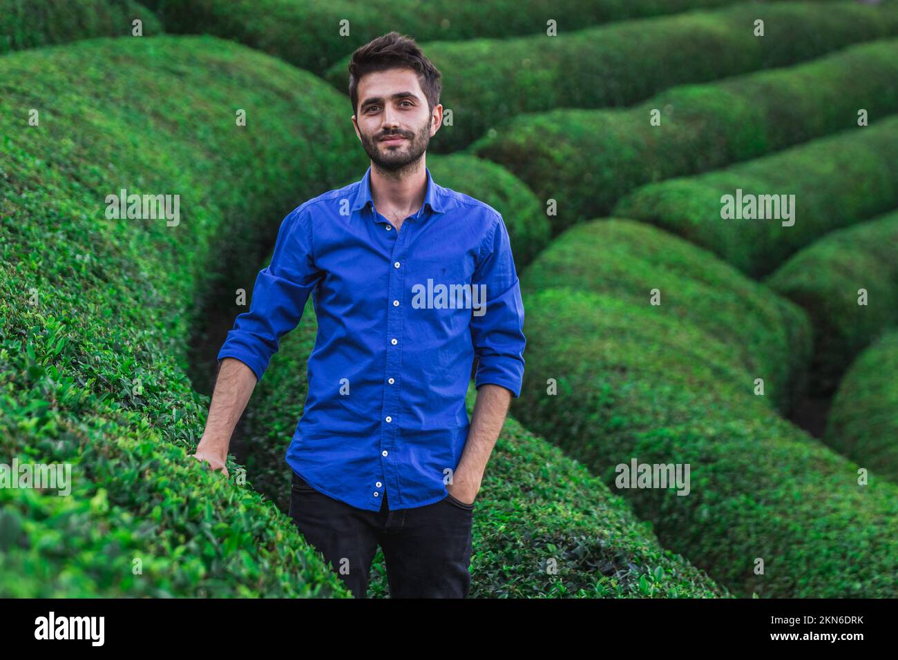 Tea plantations near Rize in Turkey editorial Stock Photo - Alamy