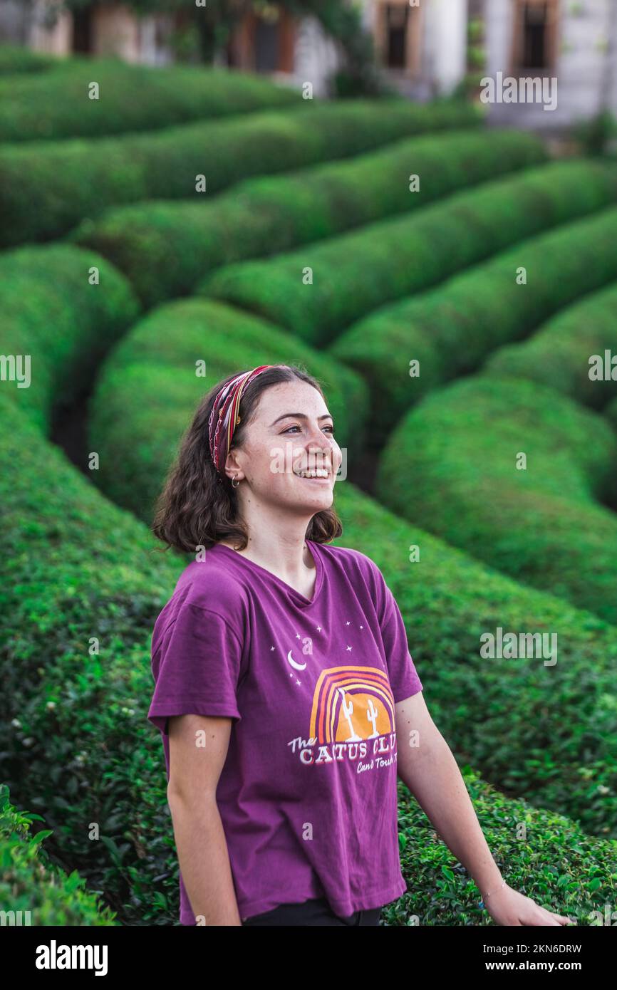Tea plantations near Rize in Turkey editorial Stock Photo - Alamy