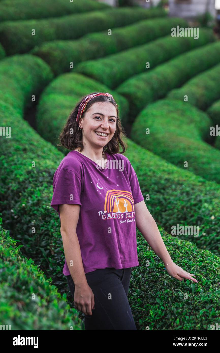 Tea plantations near Rize in Turkey editorial Stock Photo - Alamy