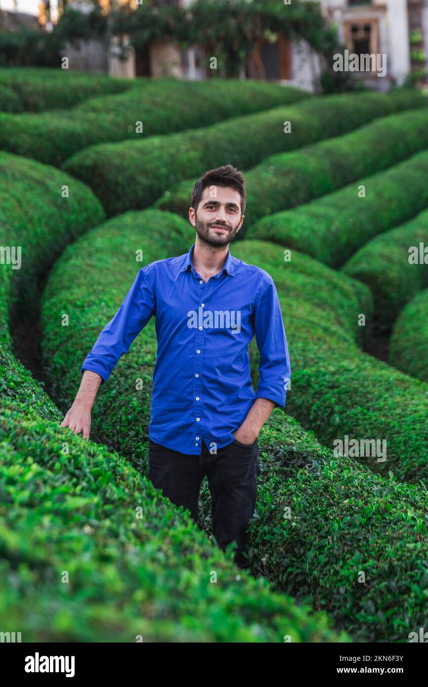 Tea plantations near Rize in Turkey editorial Stock Photo - Alamy