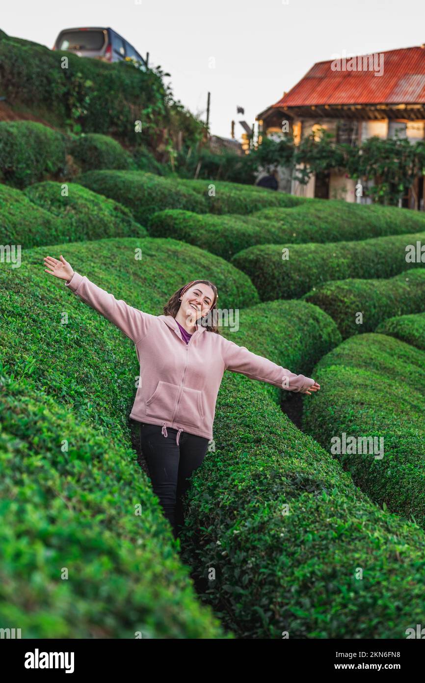 Tea plantations near Rize in Turkey editorial Stock Photo - Alamy