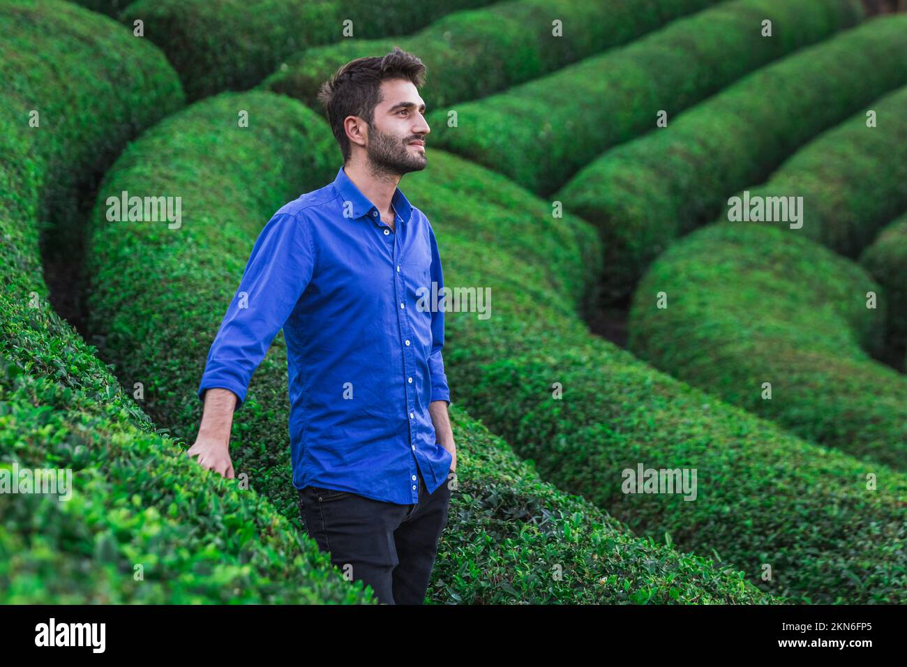 Tea plantations near Rize in Turkey editorial Stock Photo - Alamy
