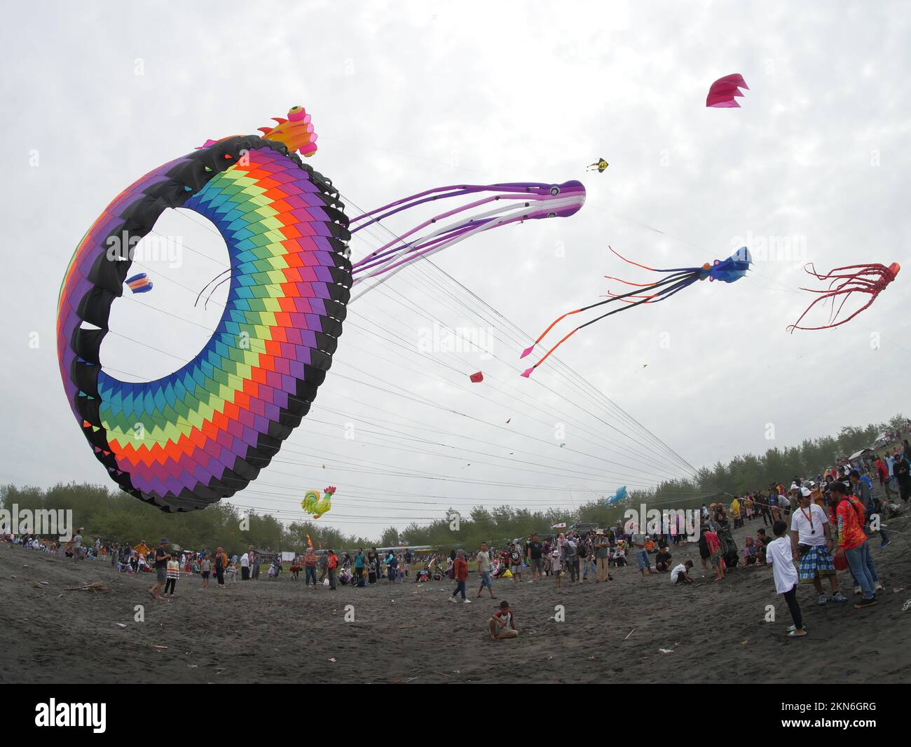 Unusual kite hi-res stock photography and images - Alamy