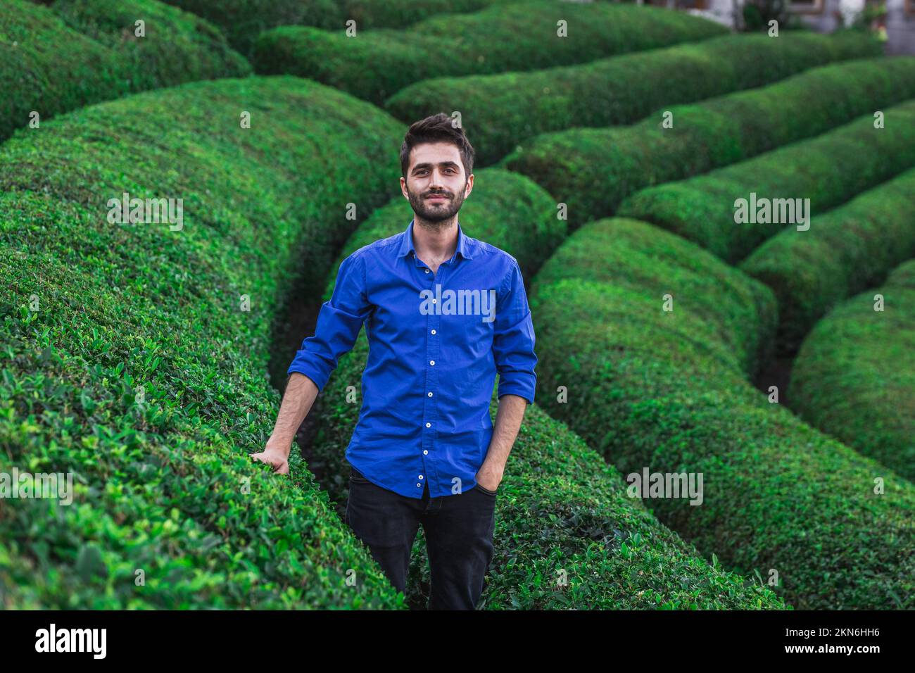 Tea plantations near Rize in Turkey editorial Stock Photo - Alamy