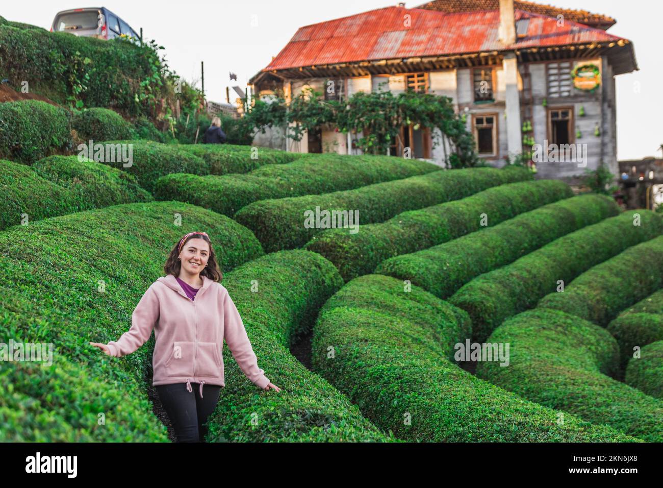 Tea plantations near Rize in Turkey editorial Stock Photo - Alamy