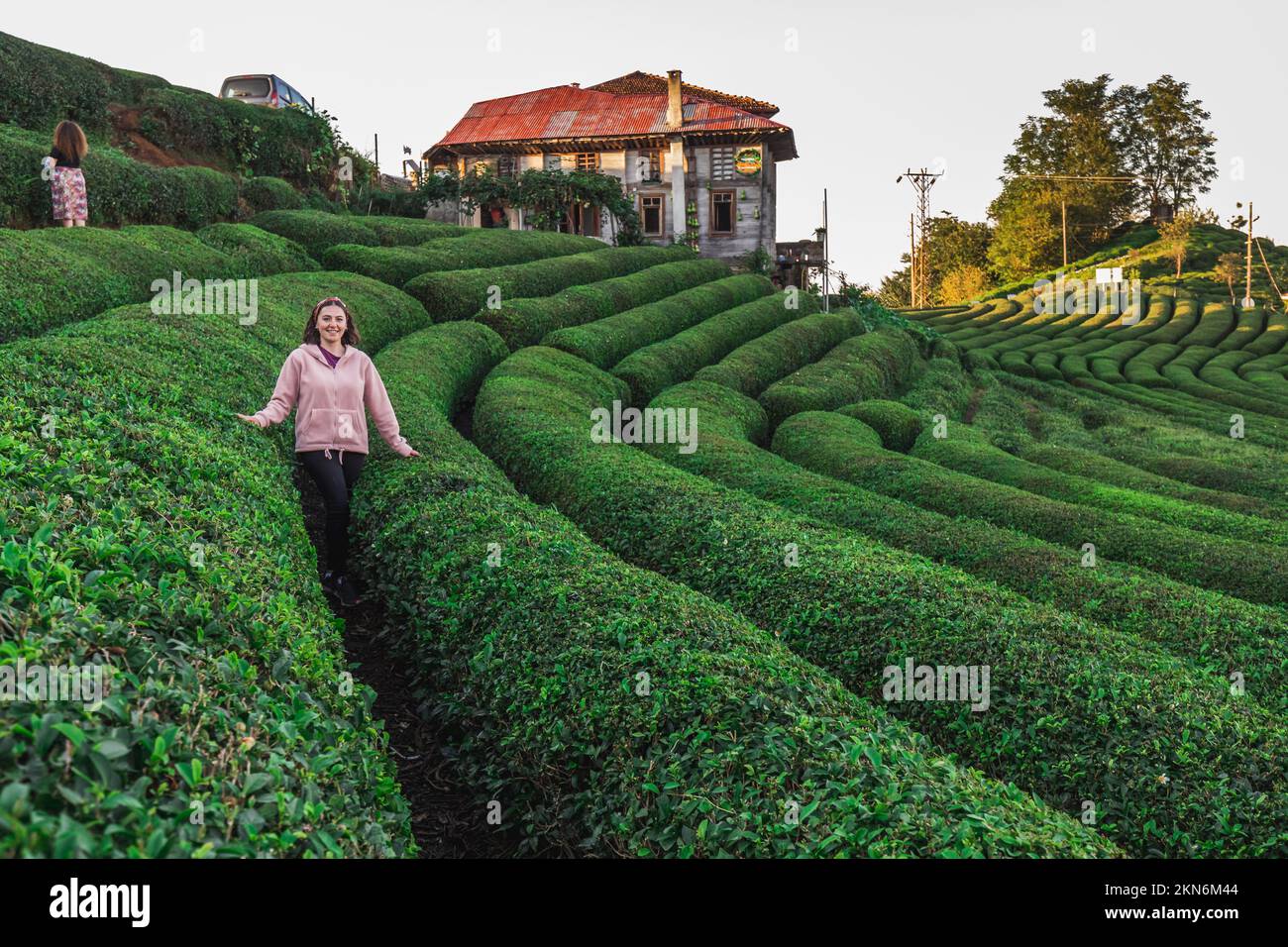 Tea plantations near Rize in Turkey editorial Stock Photo - Alamy