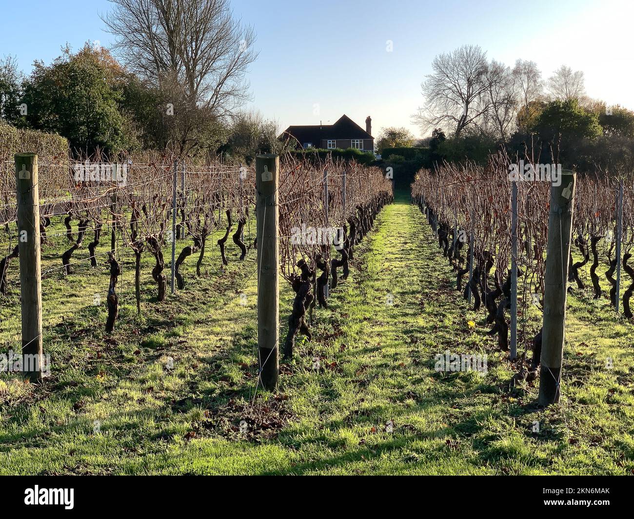 Non vintage brut hi-res stock photography and images - Alamy