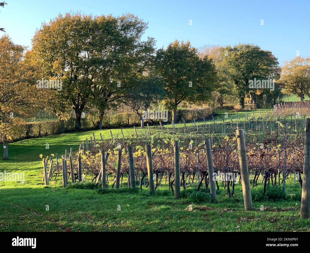South facing chalk soils hi-res stock photography and images - Alamy