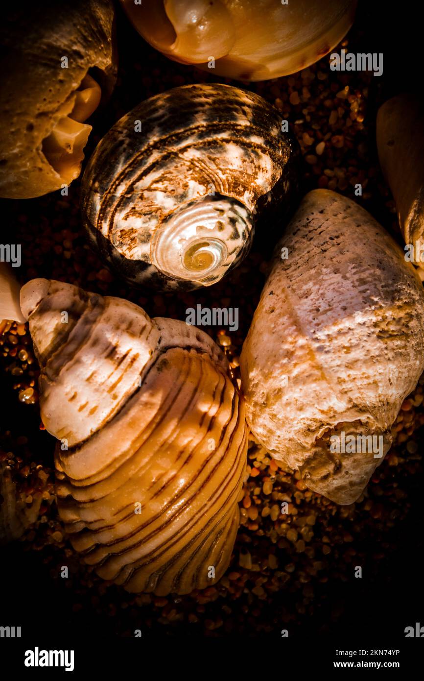 Marine shadows artwork hi-res stock photography and images - Alamy
