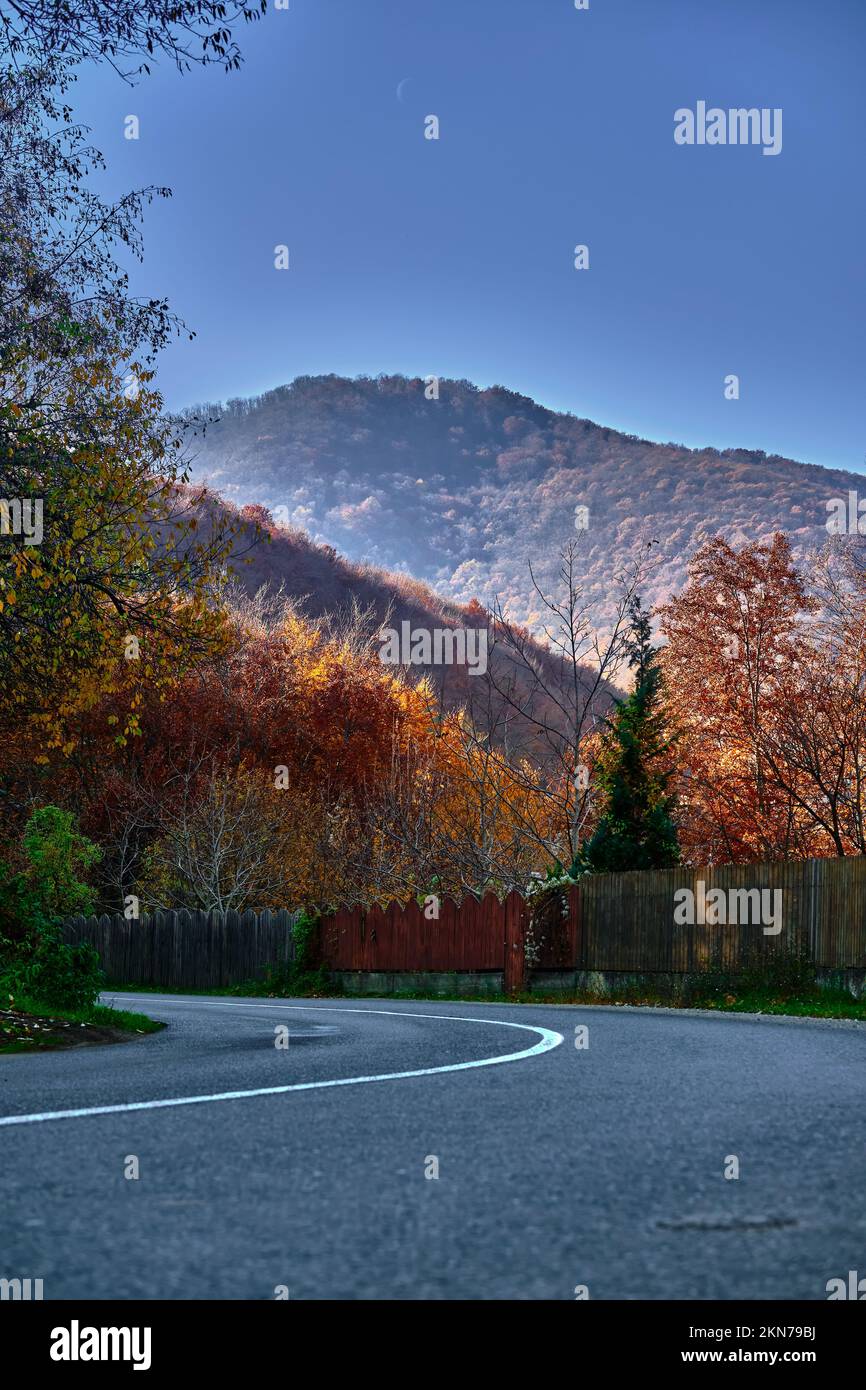 A vertical shot of an empty asphalt road along crooked trees in autumn ...