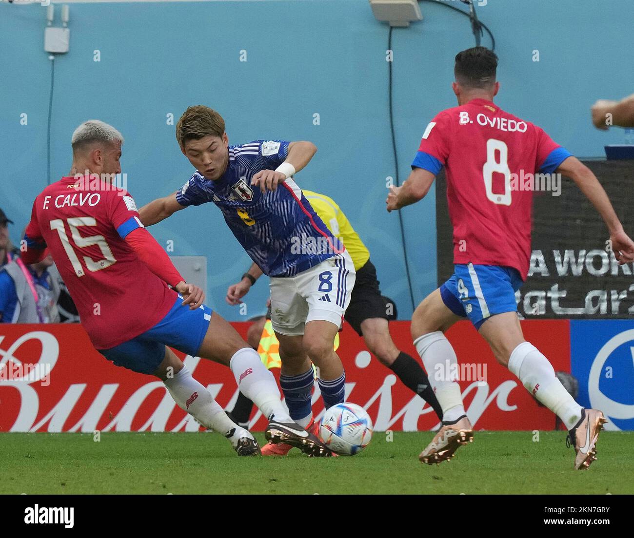 November 27th, 2022, Ahmad bin Ali Stadium, Doha, QAT, World Cup FIFA ...