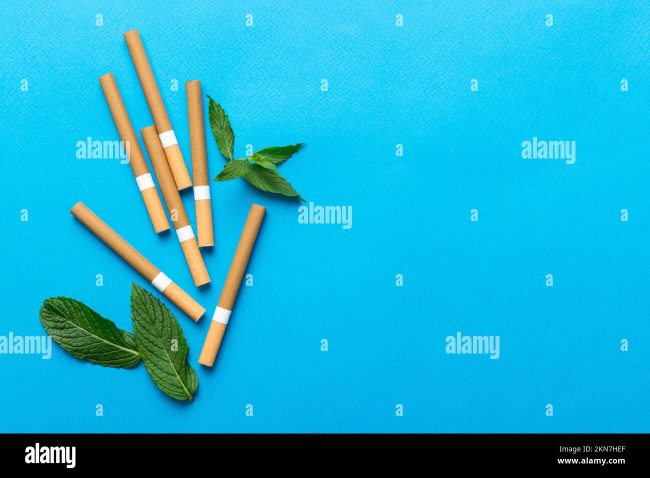 Menthol cigarettes and fresh mint leaves on colored background, Many ...