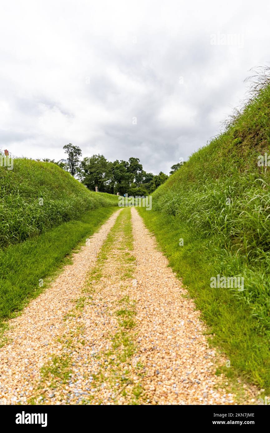 A vertical of a path leading to the Military Park in Vicksburg ...