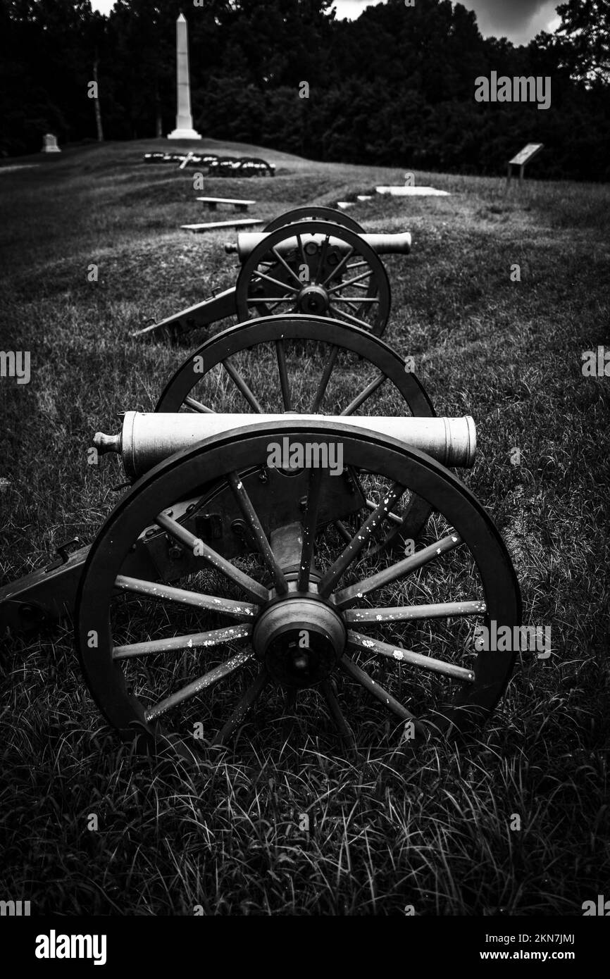 A grayscale vertical of cannons in the Military Park in Vicksburg ...