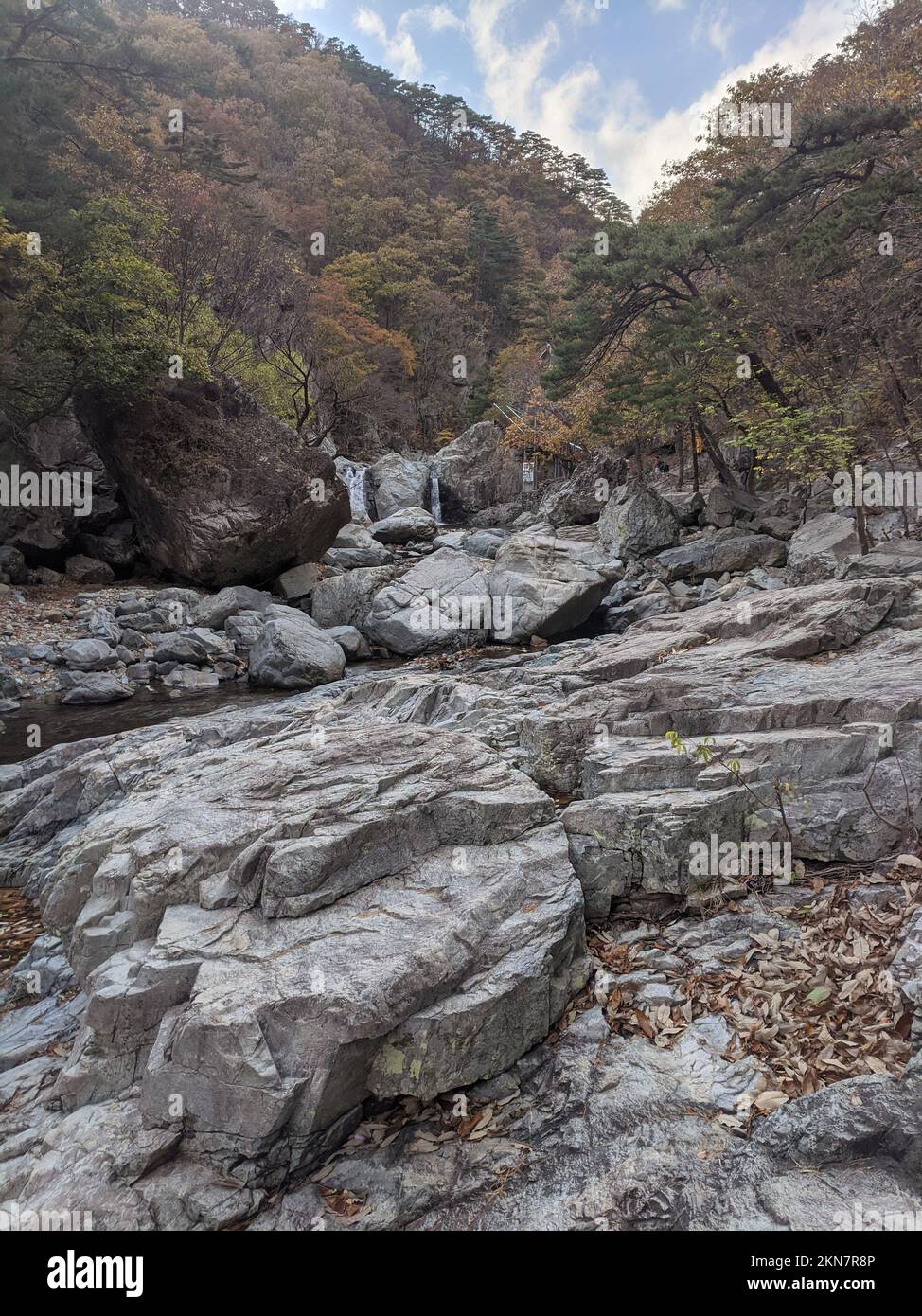 A vertical of rock formations at the bottom of a mountain with forest ...