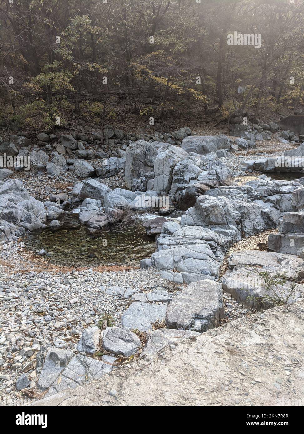 A vertical of rock formations at the bottom of a mountain with forest ...