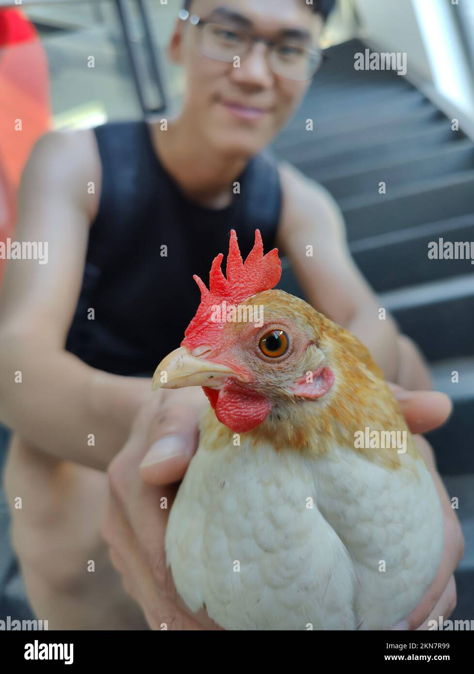 A closeup of a Chinese man on the blurred background holding a chicken ...
