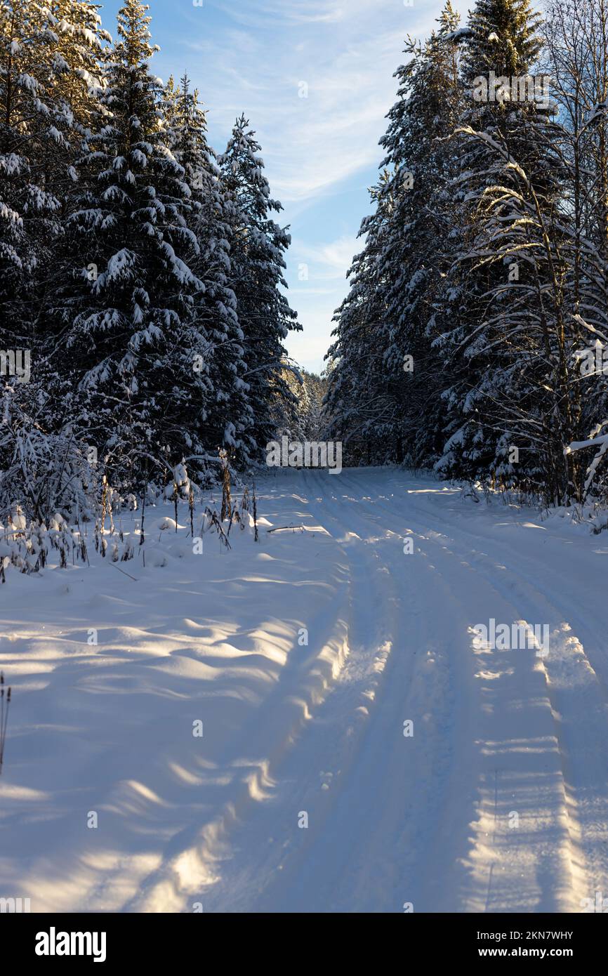 A country road in a snow-covered forest in the taiga on a winter day ...