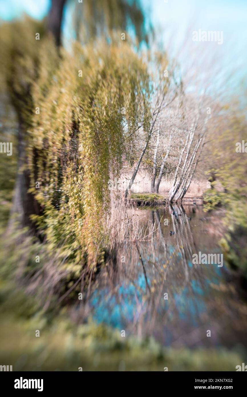 A image of a tree from another perspective Stock Photo - Alamy
