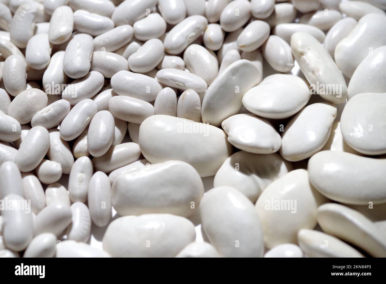 Healthy large raw husked white kidney beans scattered of evenly layer ...