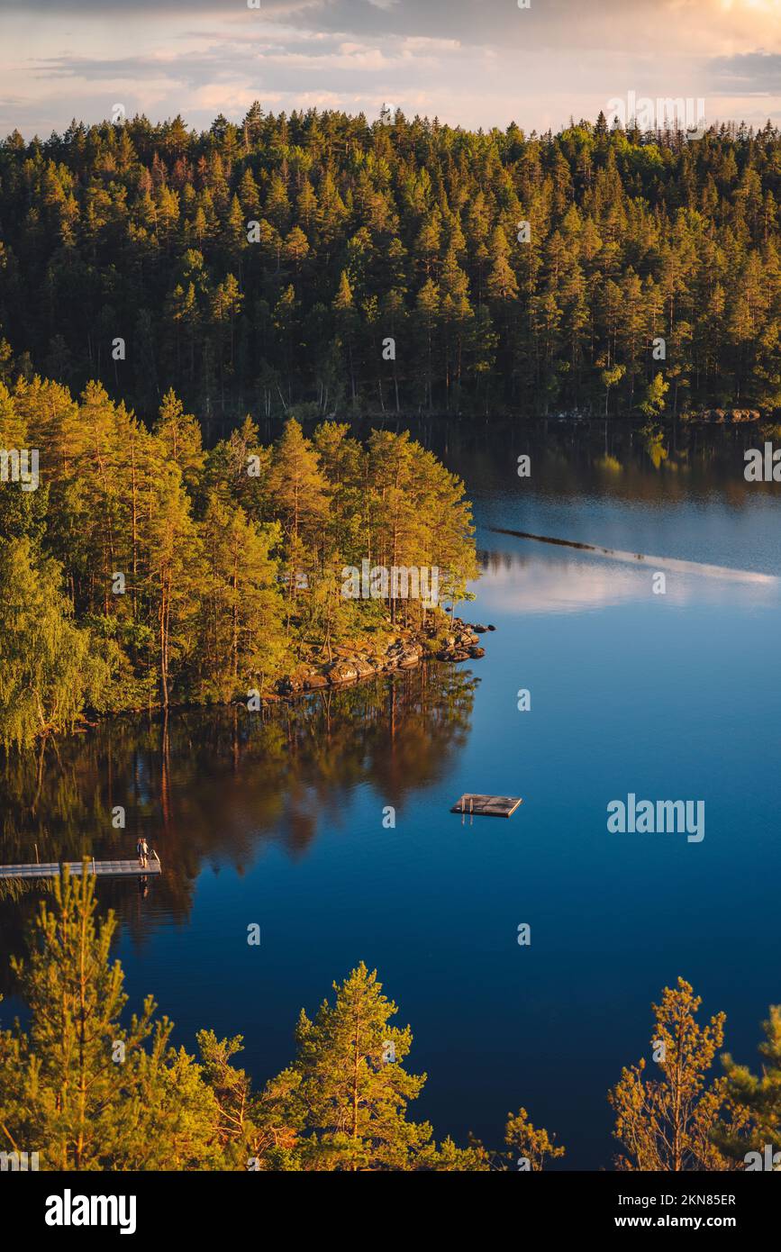 A vertical shot of a calm lake surrounded by green trees in Sweden ...