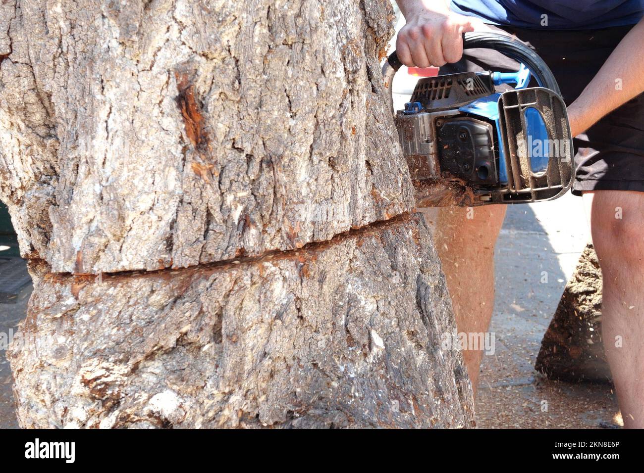 Man sawing branch slow motion hi-res stock photography and images - Alamy