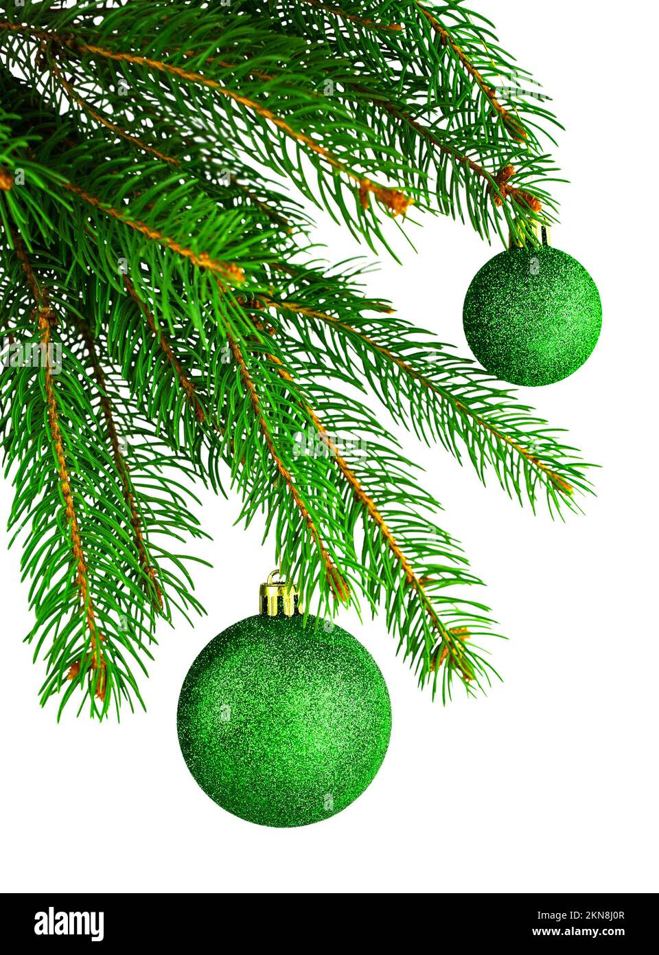 Christmas tree and green shiny ball toys. Isolated spruce branch and ...
