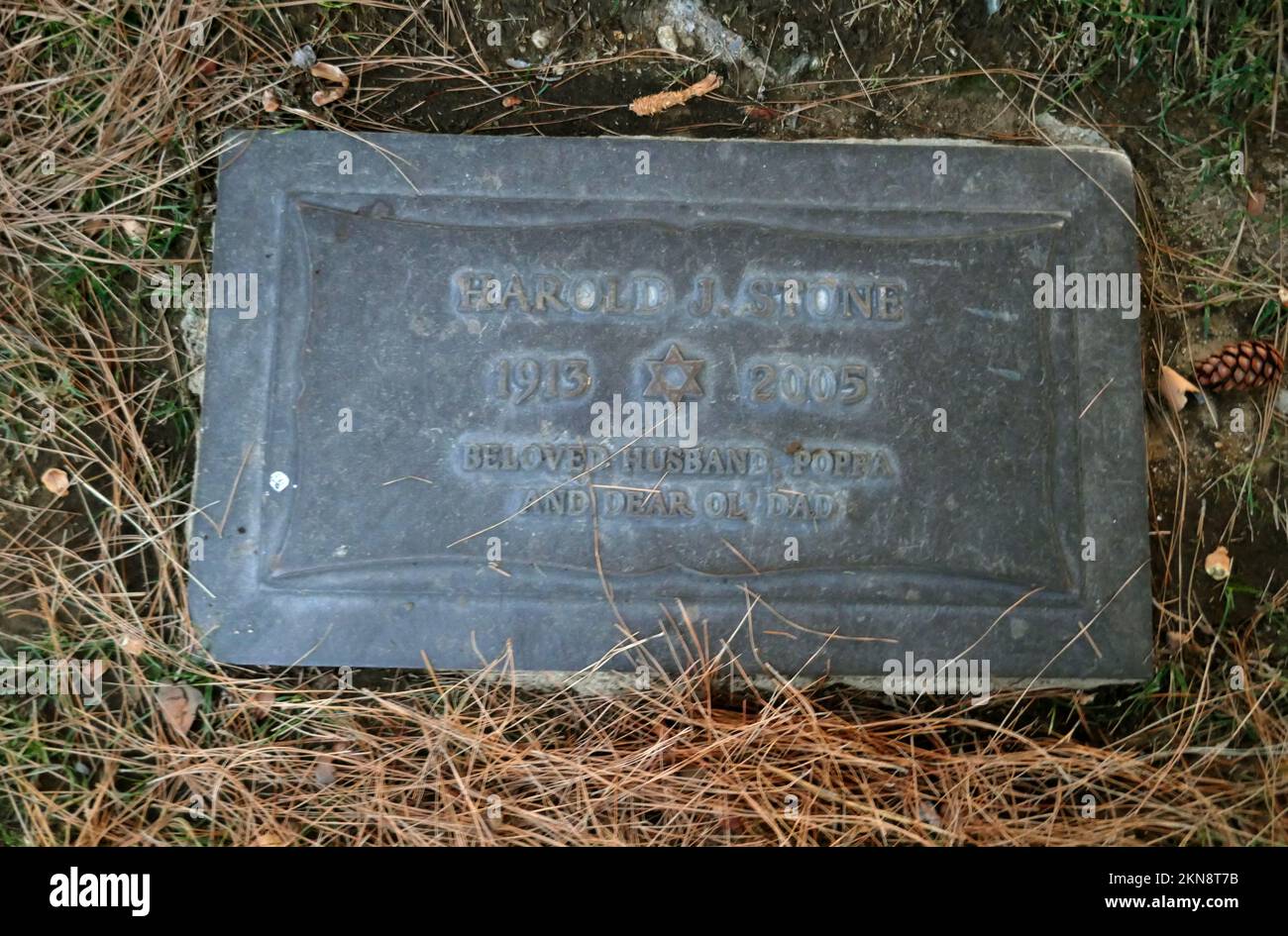 Los Angeles, California, USA 25th November 2022 Actor Harold Stone's ...