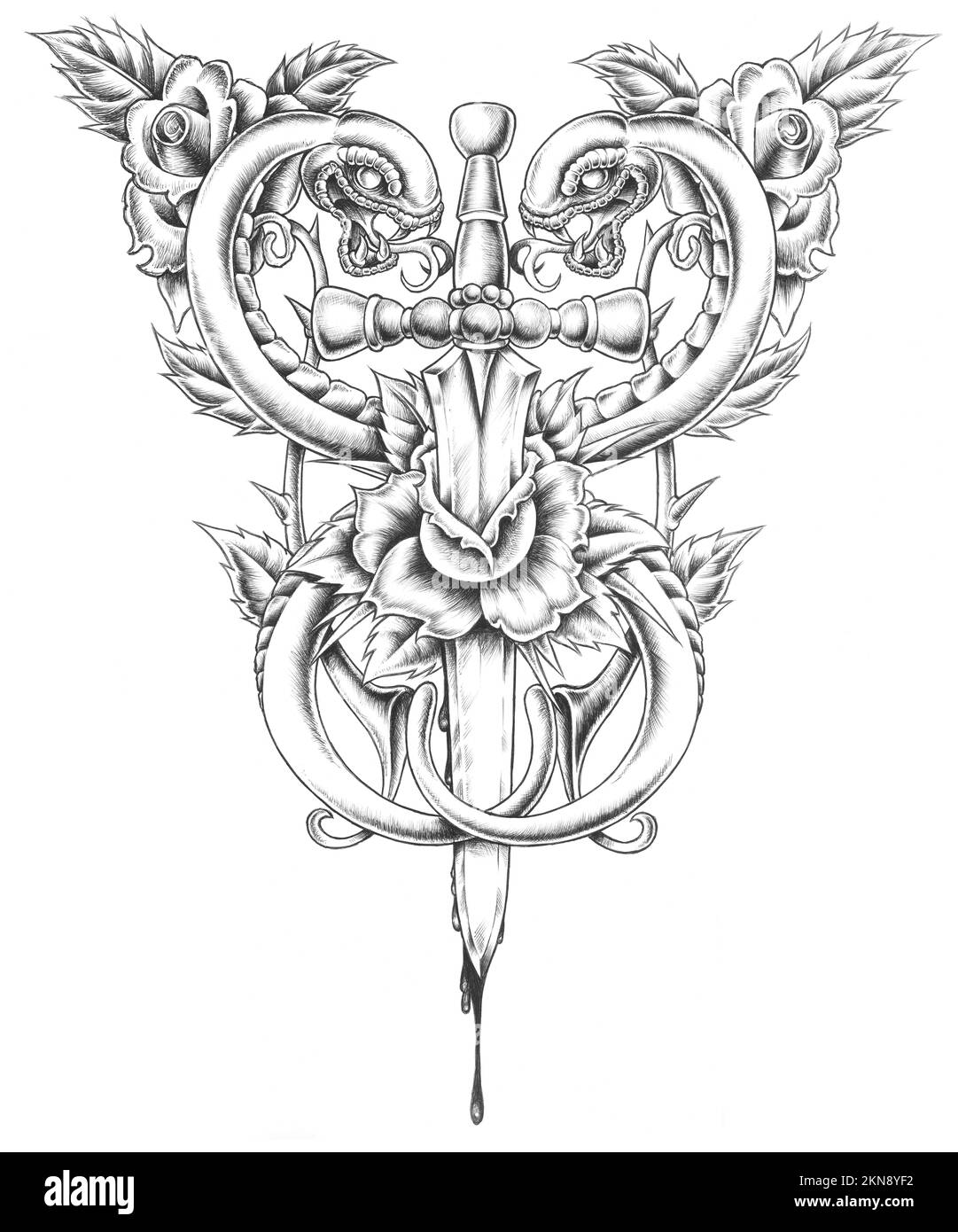 A drawing of a knife in a rose with snakes on a white background Stock ...