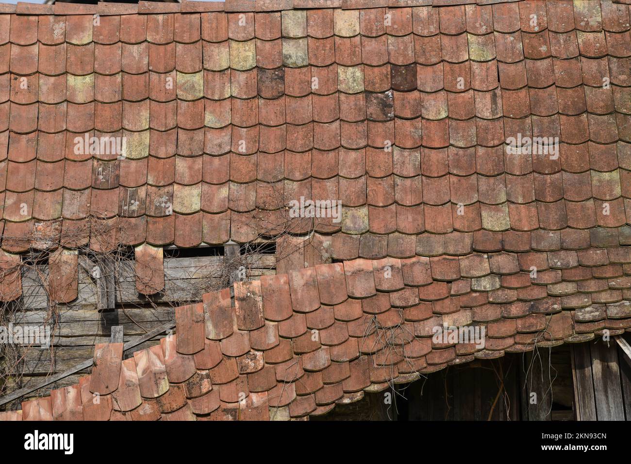 Ruined tiles on the old house Stock Photo - Alamy