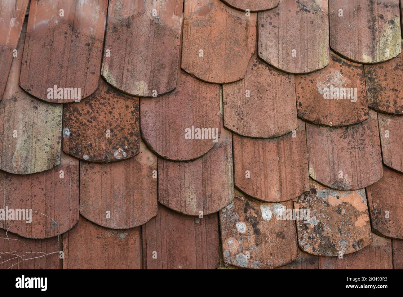 Ruined tiles on the old house Stock Photo - Alamy