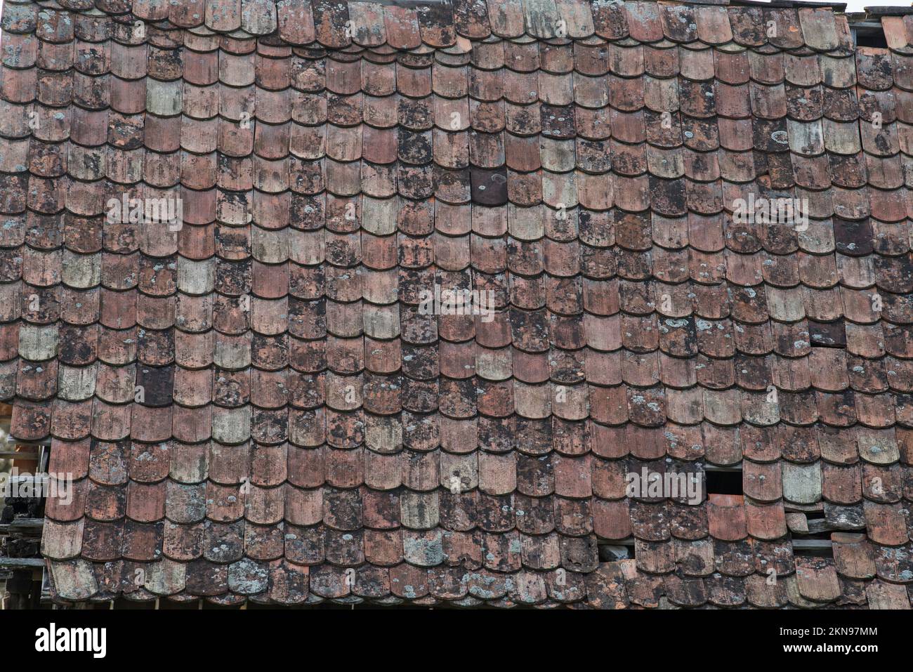 Slum house rooftop hi-res stock photography and images - Alamy