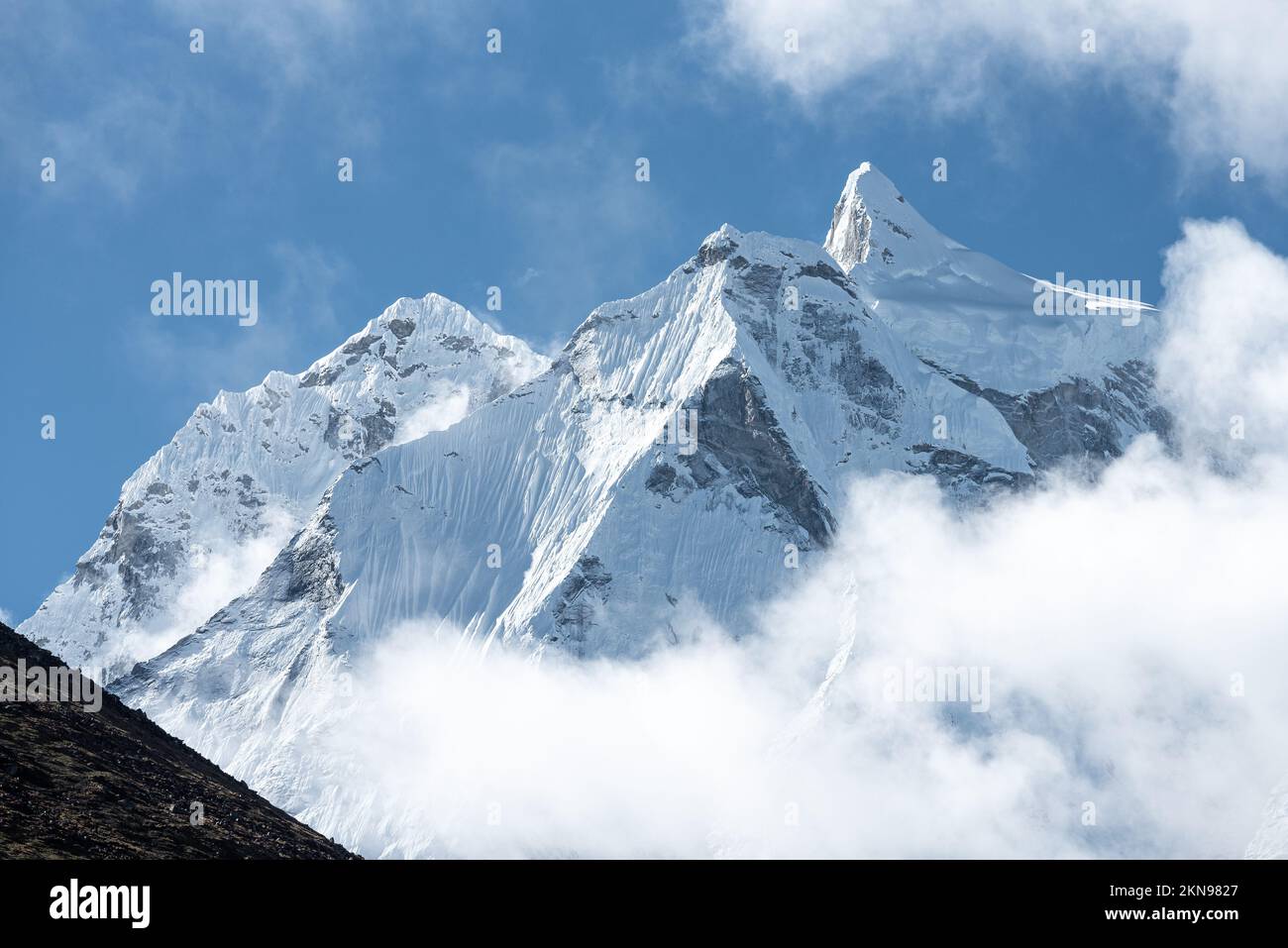 Kanguru hi-res stock photography and images - Alamy