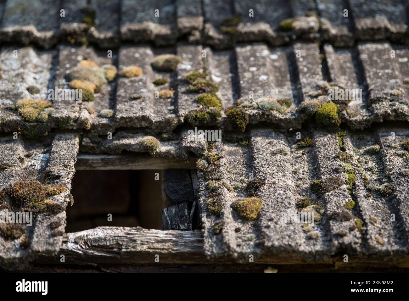 Ruined tiles on the old house Stock Photo - Alamy