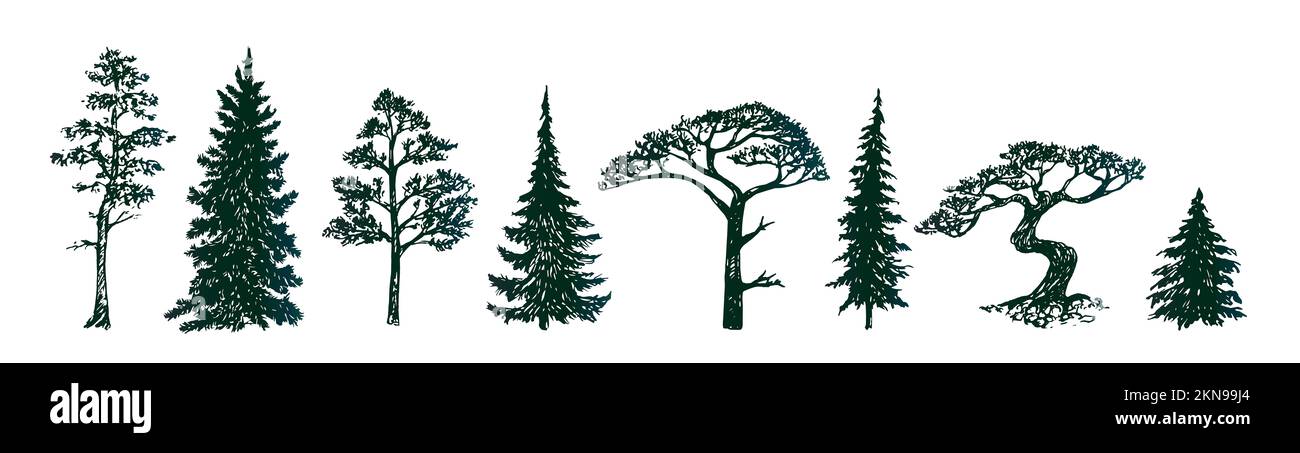 Dead Pine Tree Clip Art
