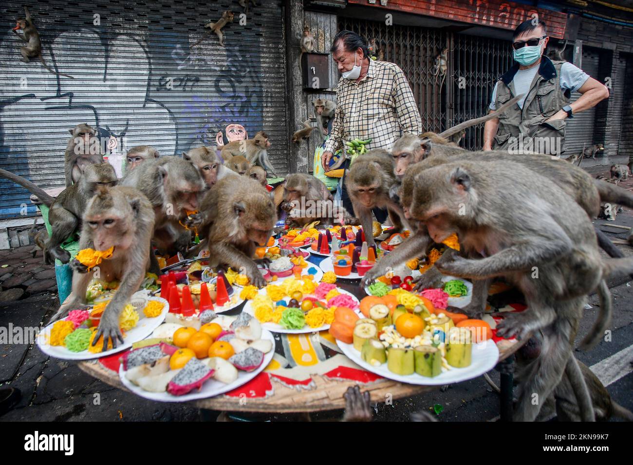 2022 monkeys hi-res stock photography and images - Alamy