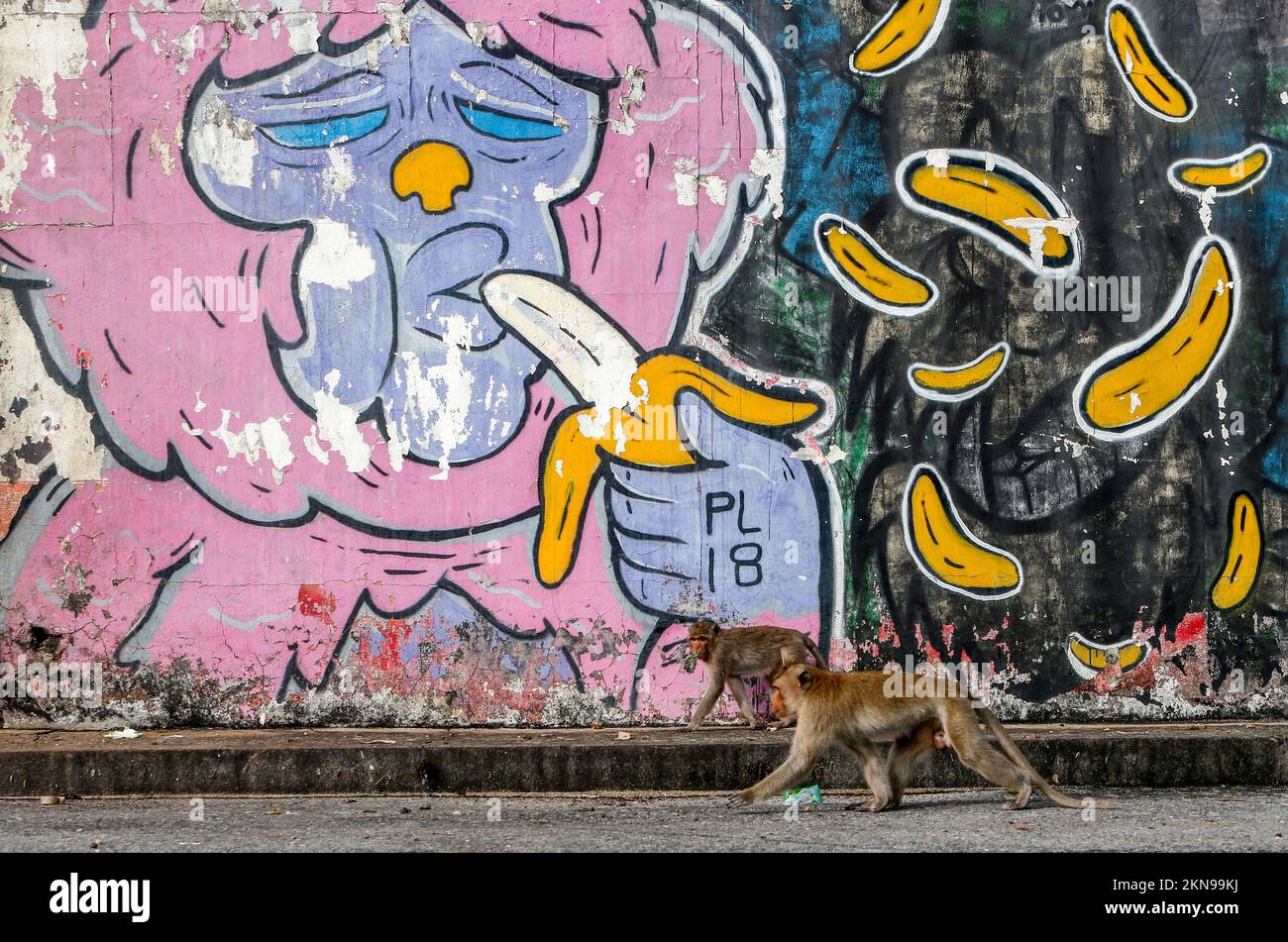 Lopburi, Thailand. 27th Nov, 2022. Monkeys move past a graffiti during ...