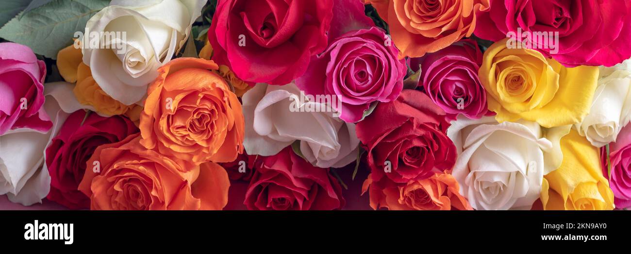 Bunch of colorful roses Stock Photo - Alamy