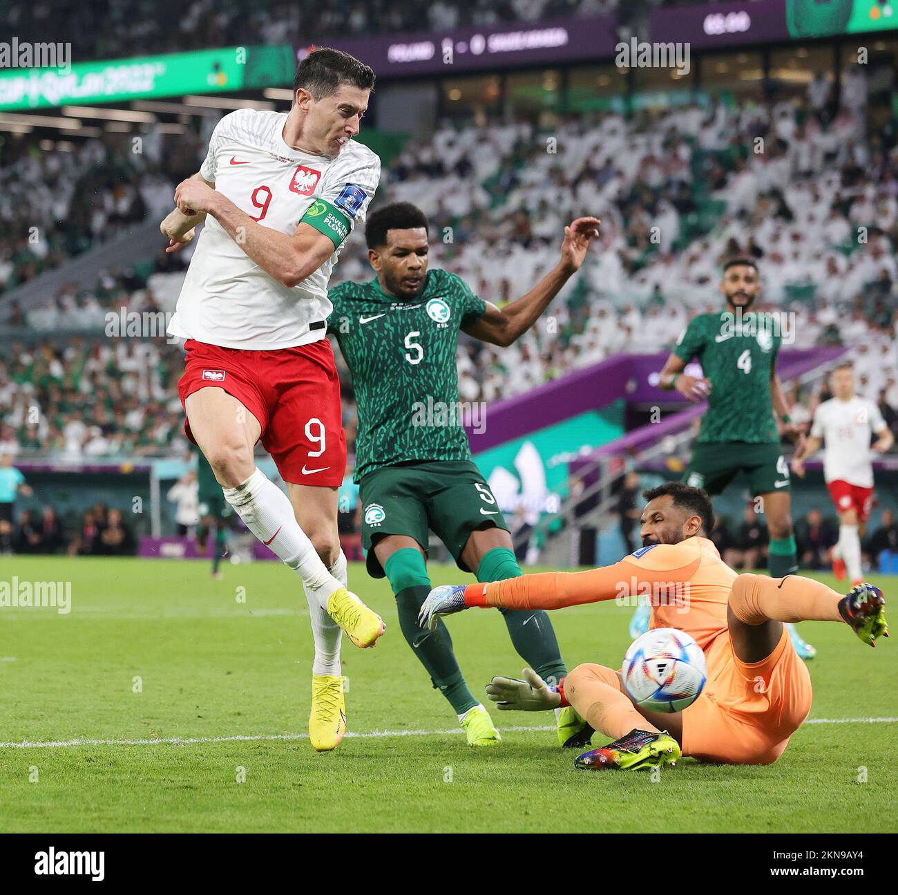 November 26, 2022, Rome, Qatar: Robert Lewandowski of Poland in duel ...