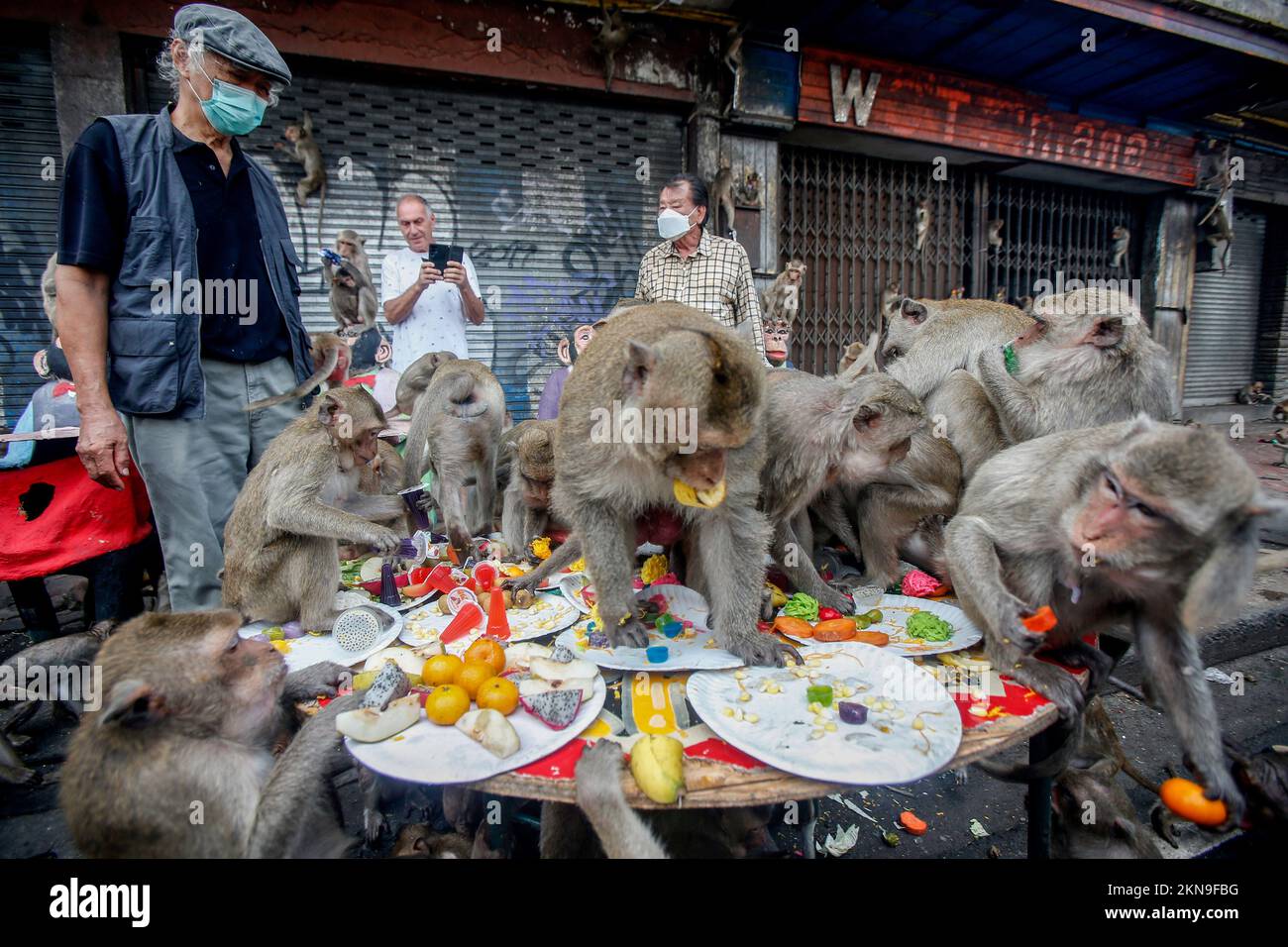 2022 monkeys hi-res stock photography and images - Alamy