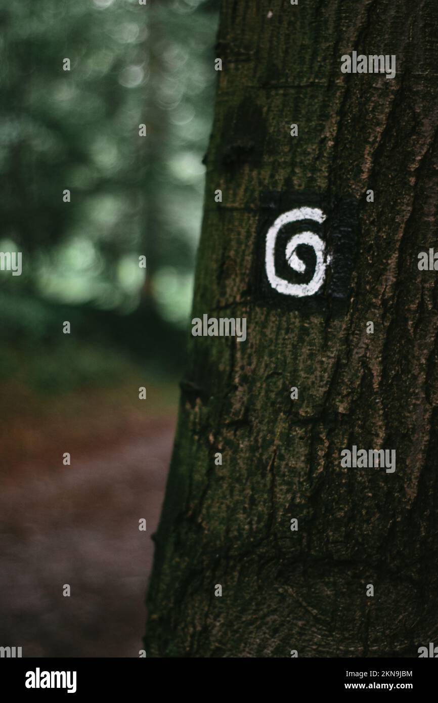 A vertical shot of a white spiral sign on a tree against a blurred ...