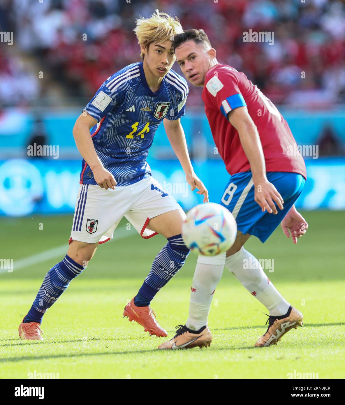 Al Rayyan, Qatar. 27th Nov, 2022. Ito Junya (L) of Japan and Bryan Oviedo of Costa Rica react ...